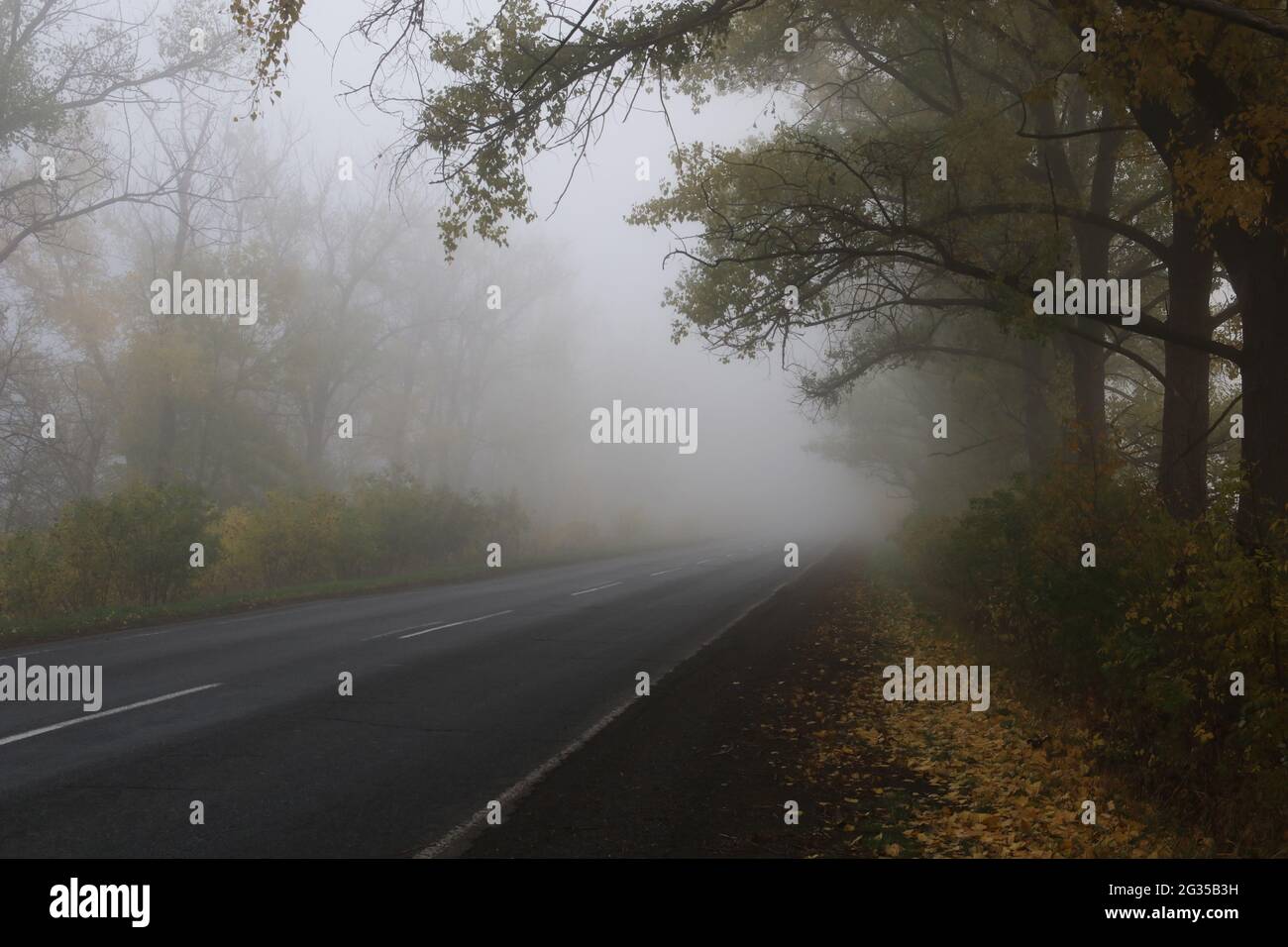 Danger to driving hi-res stock photography and images - Alamy