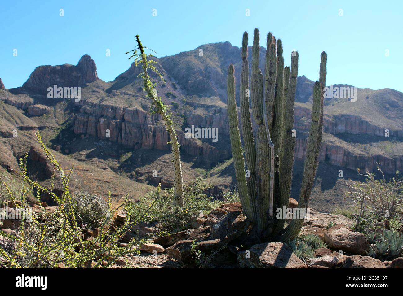 Lower california peninsula hi-res stock photography and images - Alamy
