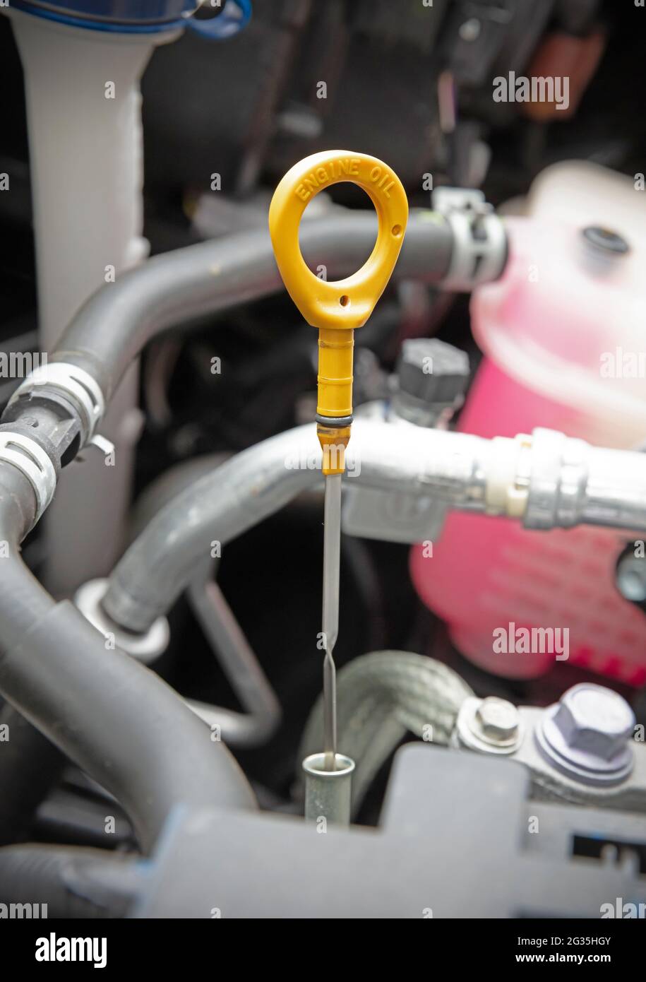 Detail of a car engine, checking oil level Stock Photo - Alamy