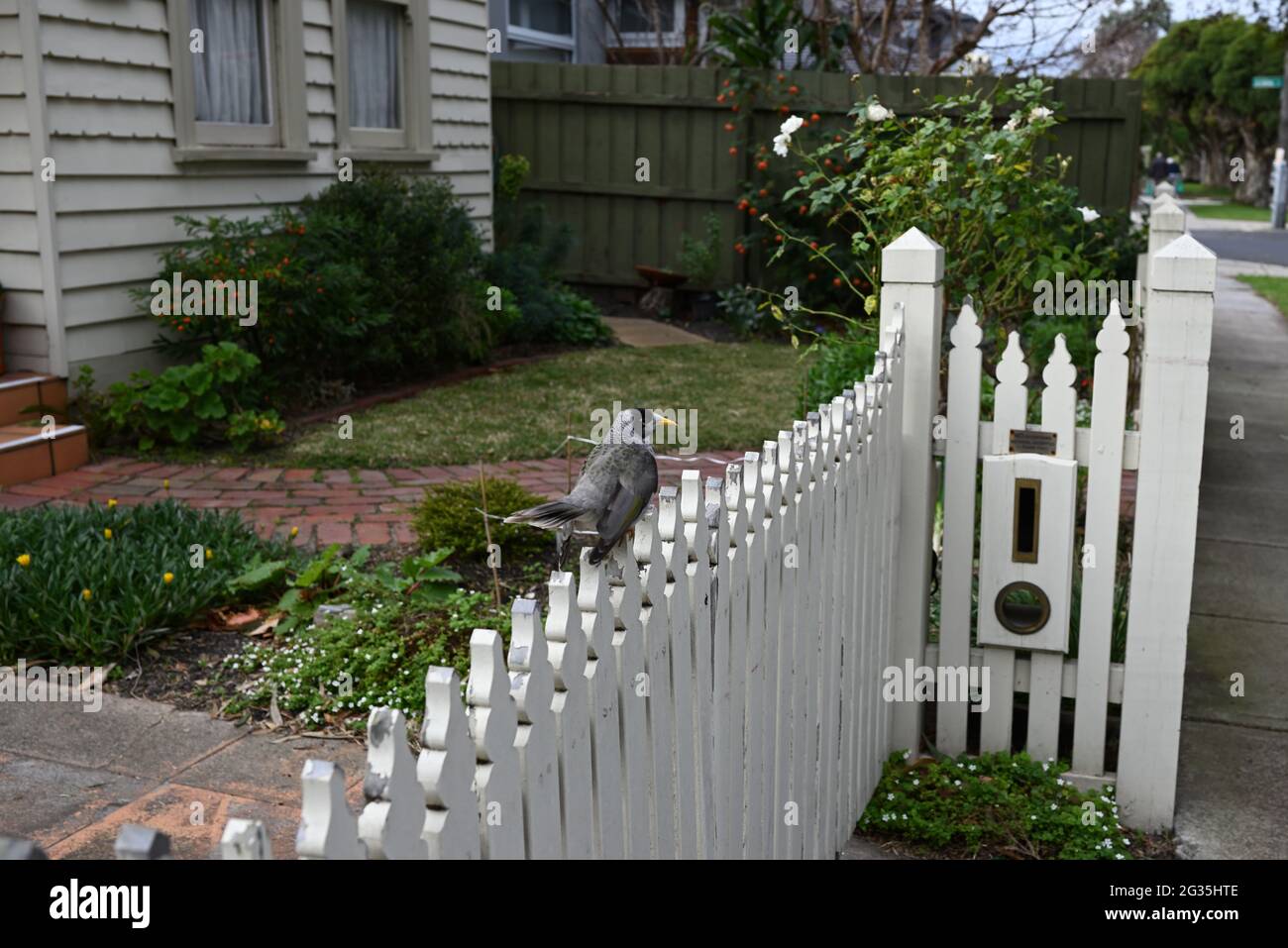 Brick house picket fence hi-res stock photography and images - Alamy