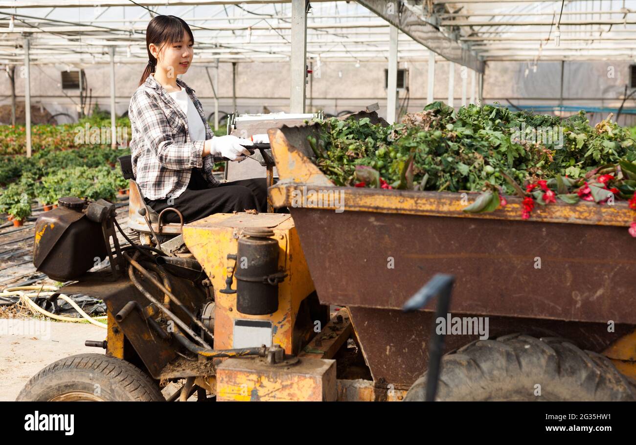 Portrait of chinese female farmer working on farm tractor in greenhouse ...