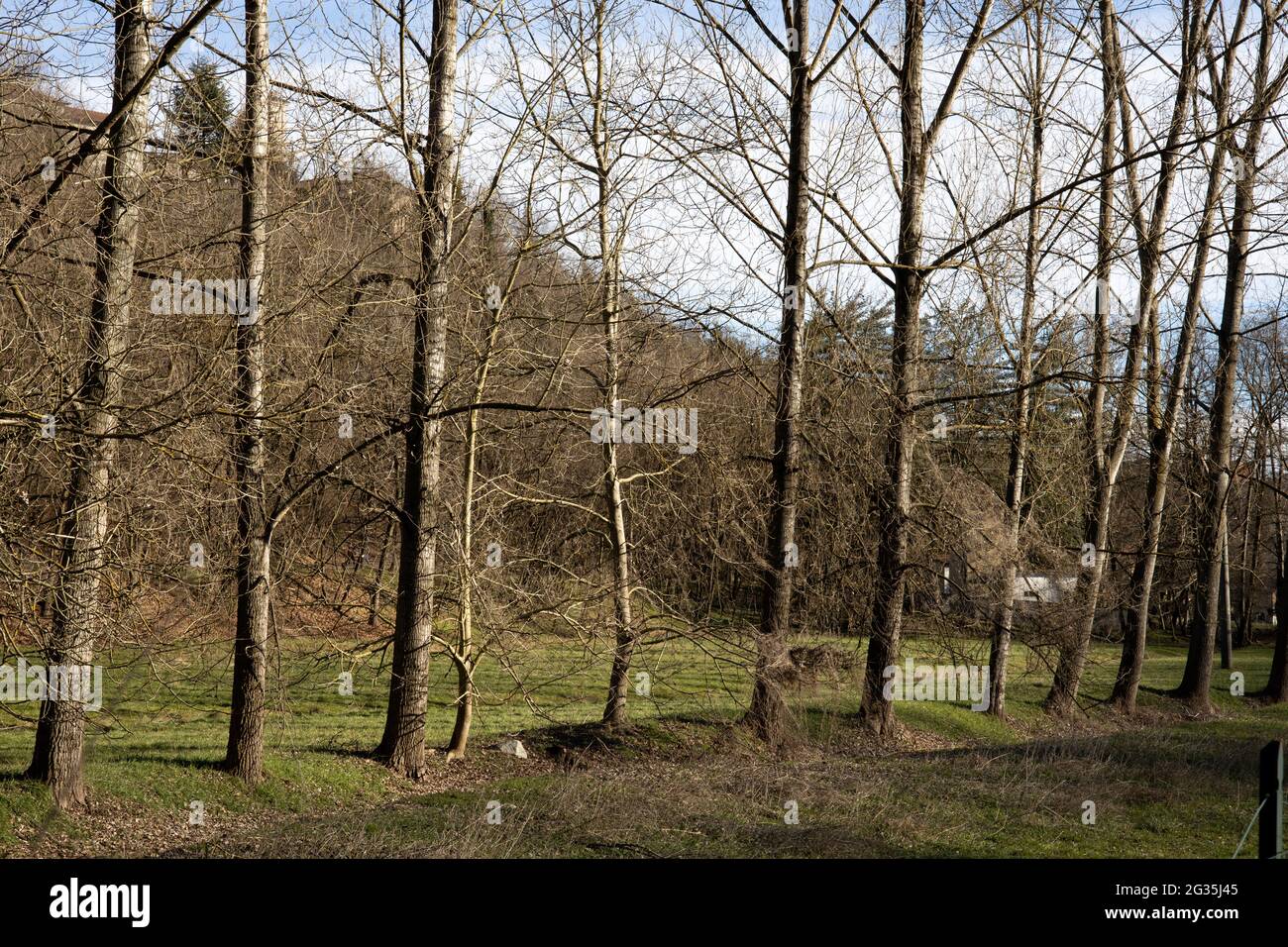 Olona Valley view and landscape Stock Photo - Alamy