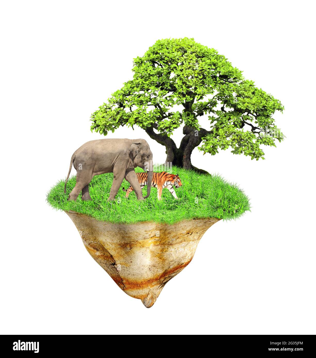 Safe animal environment Cut Out Stock Images & Pictures - Alamy