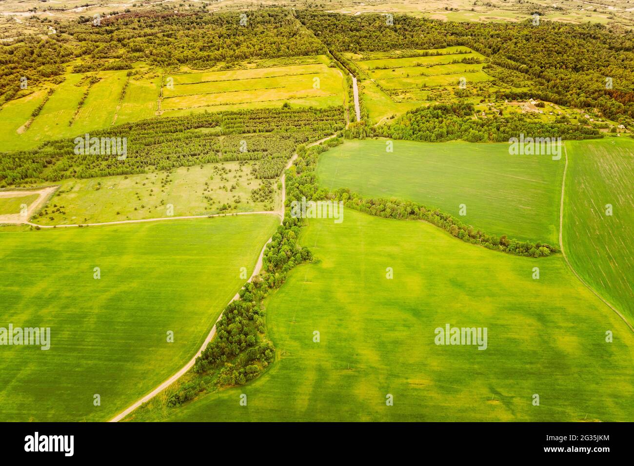 Aerial View Spring Empty Field With Windbreaks Landscape. Top View Of ...
