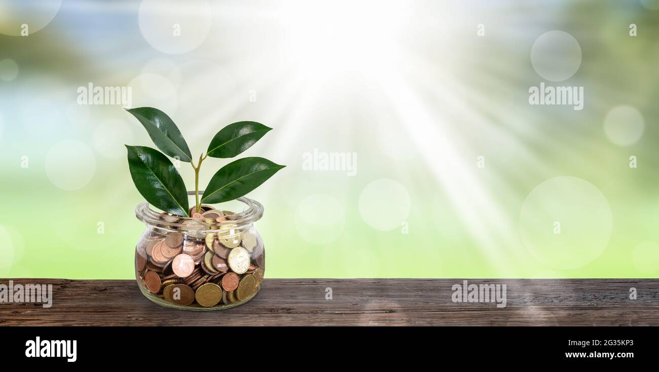 Growing money concept Stock Photo - Alamy
