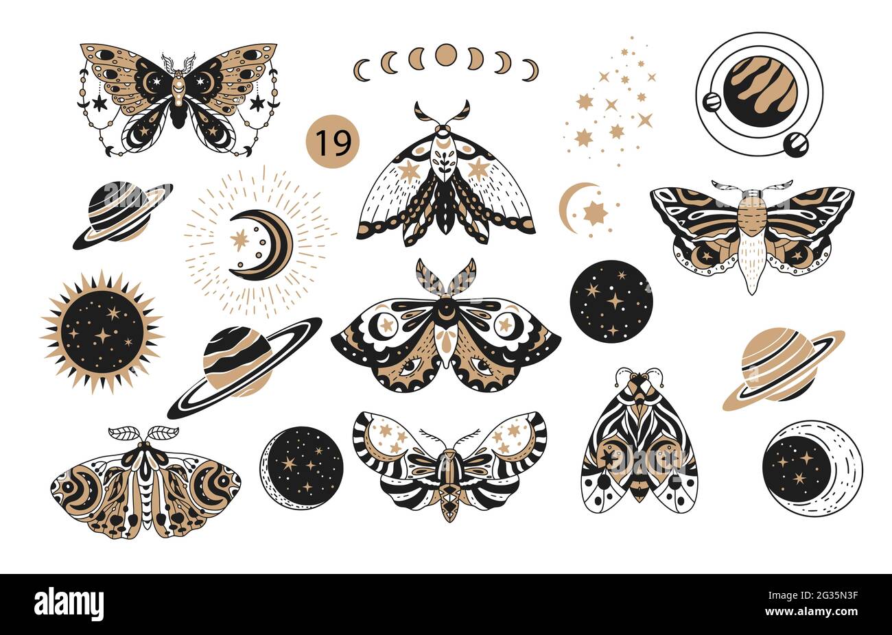 Bohemian boho butterfly decorative vector logo set. Moth wildlife ...
