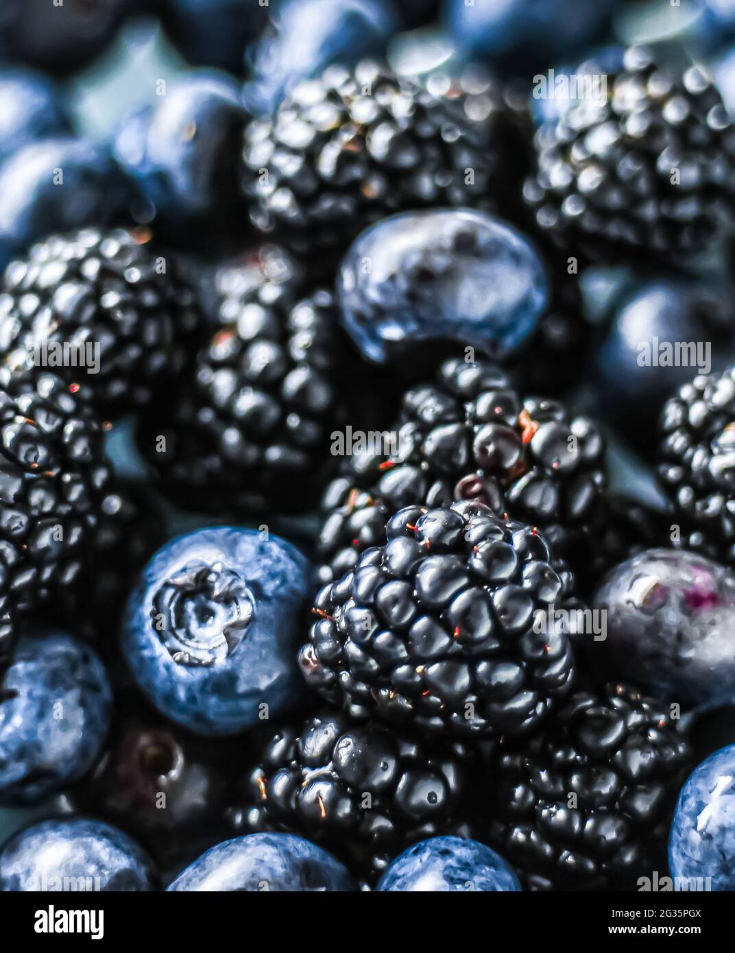 Blueberries and blackberries as fruit background, healthy food and ...
