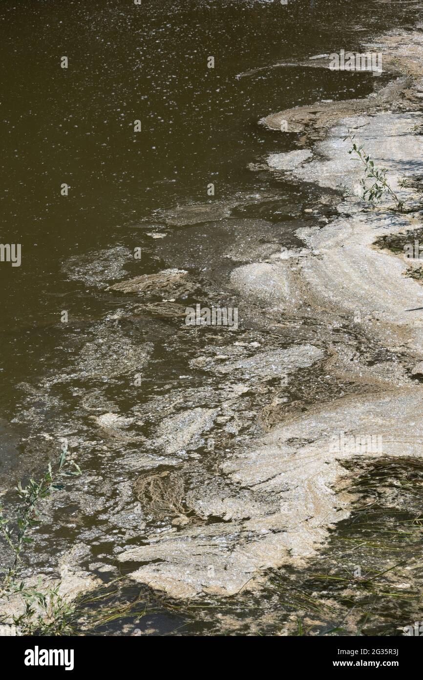 Dirty water in river bay, environmental pollution background Stock ...
