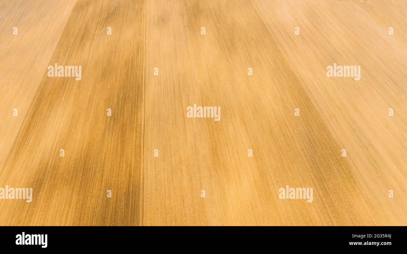 Empty Rural Field Landscape. Agricultural Spring Field. Aerial View ...