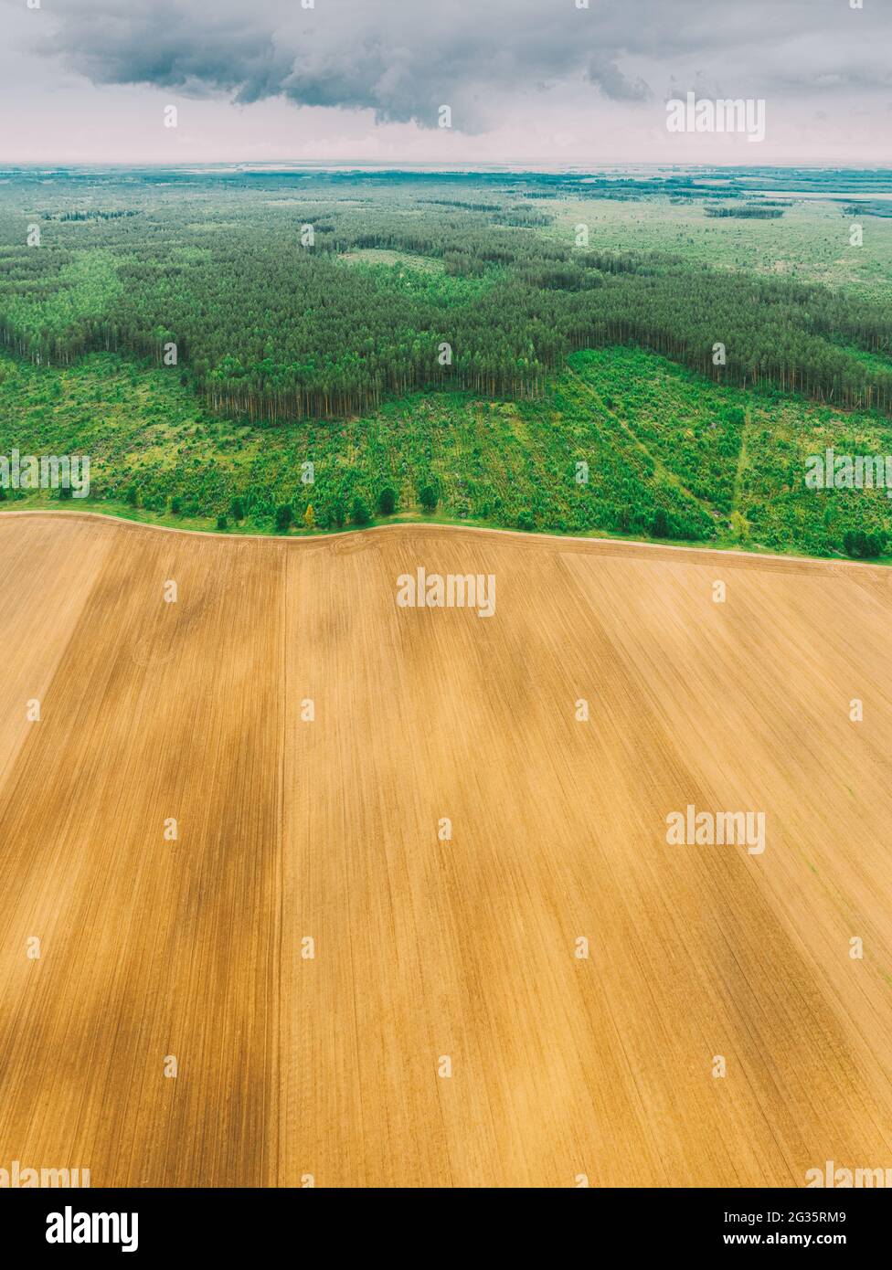 Aerial View Of Field And Deforestation Area Zone Landscape. Top View Of ...