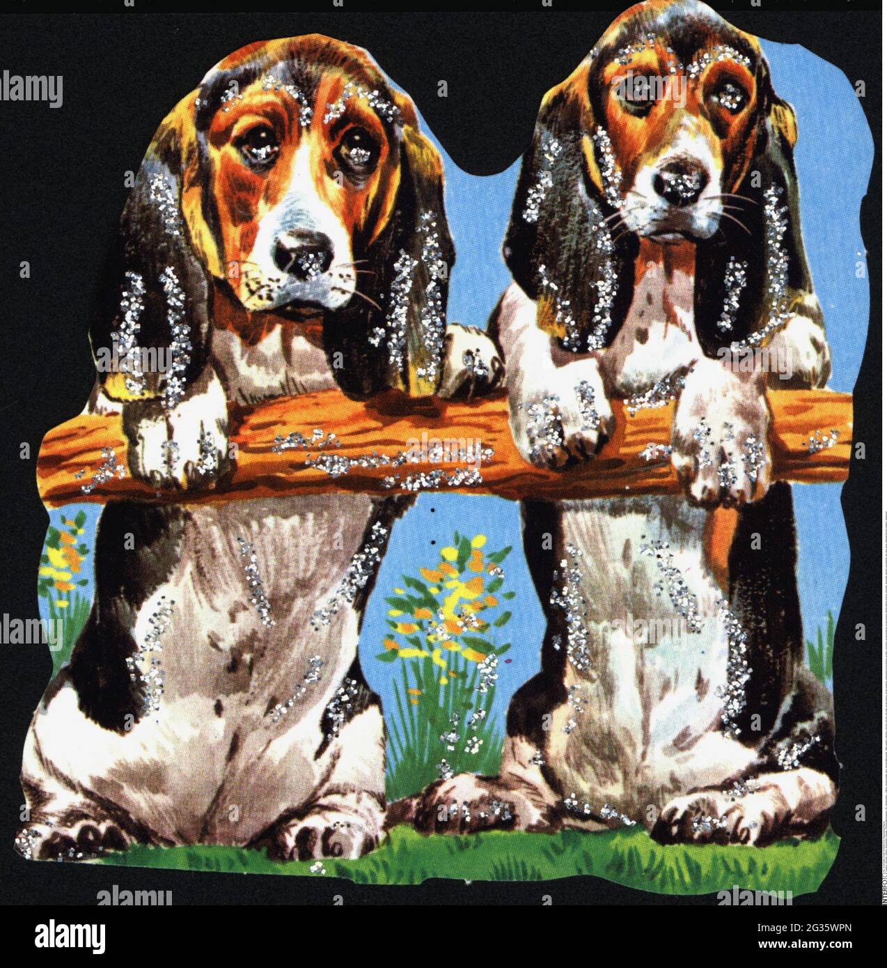 Dog album hi-res stock photography and images - Alamy