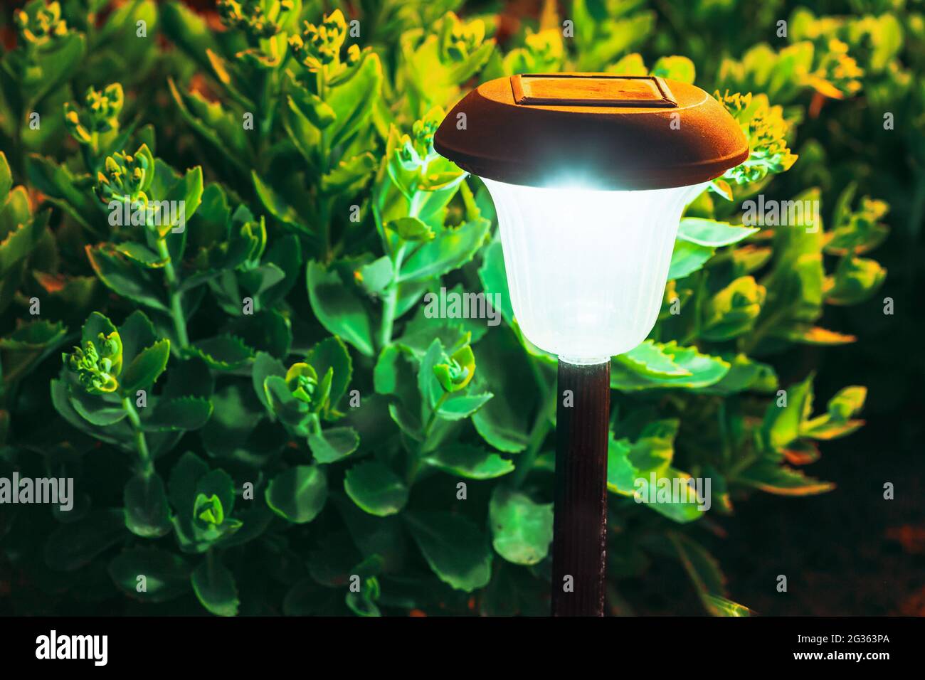 Decorative Small Solar Garden Light, Lantern In Flower Bed. Garden ...
