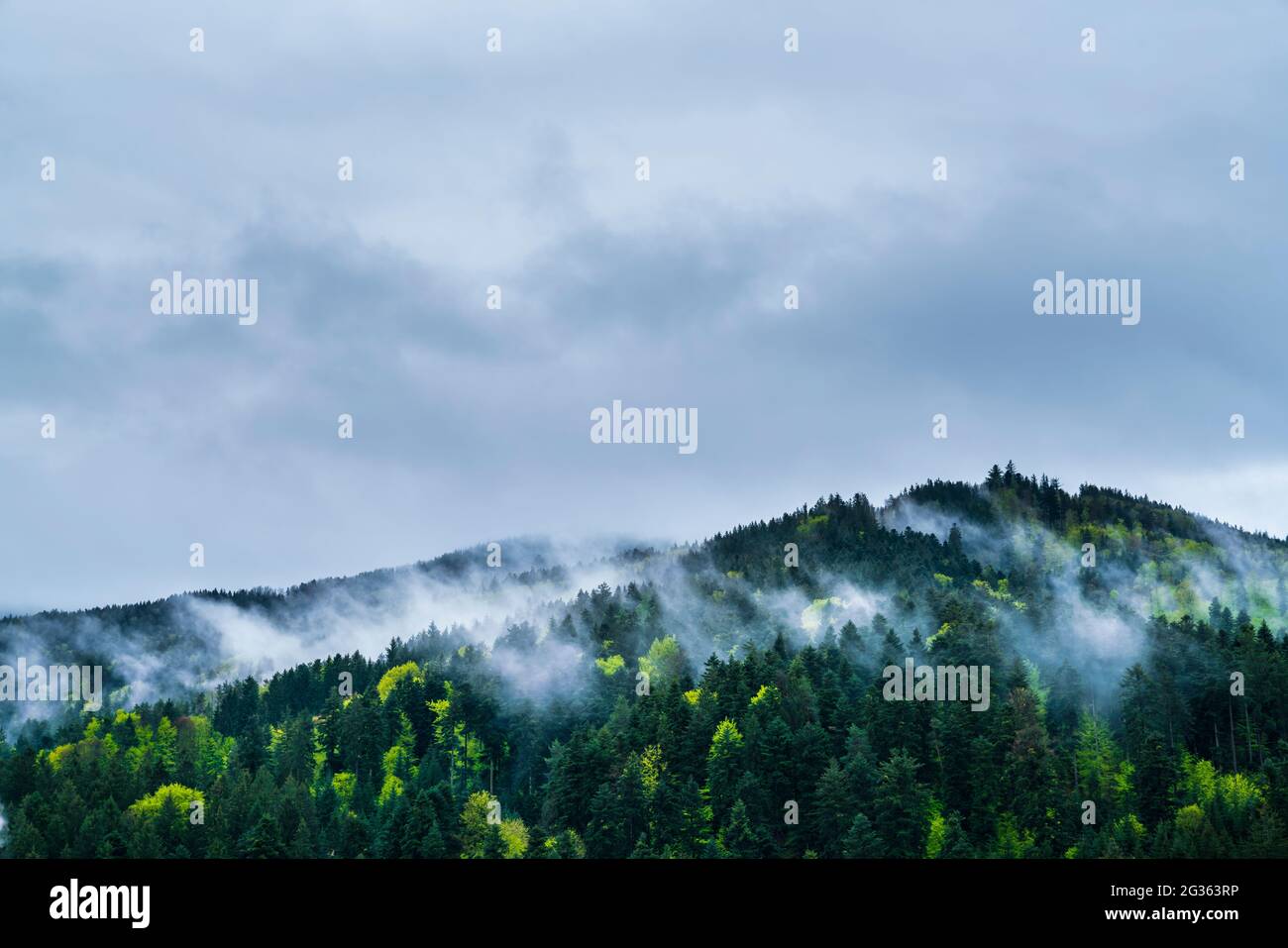 Atmosphere after rain hi-res stock photography and images - Alamy