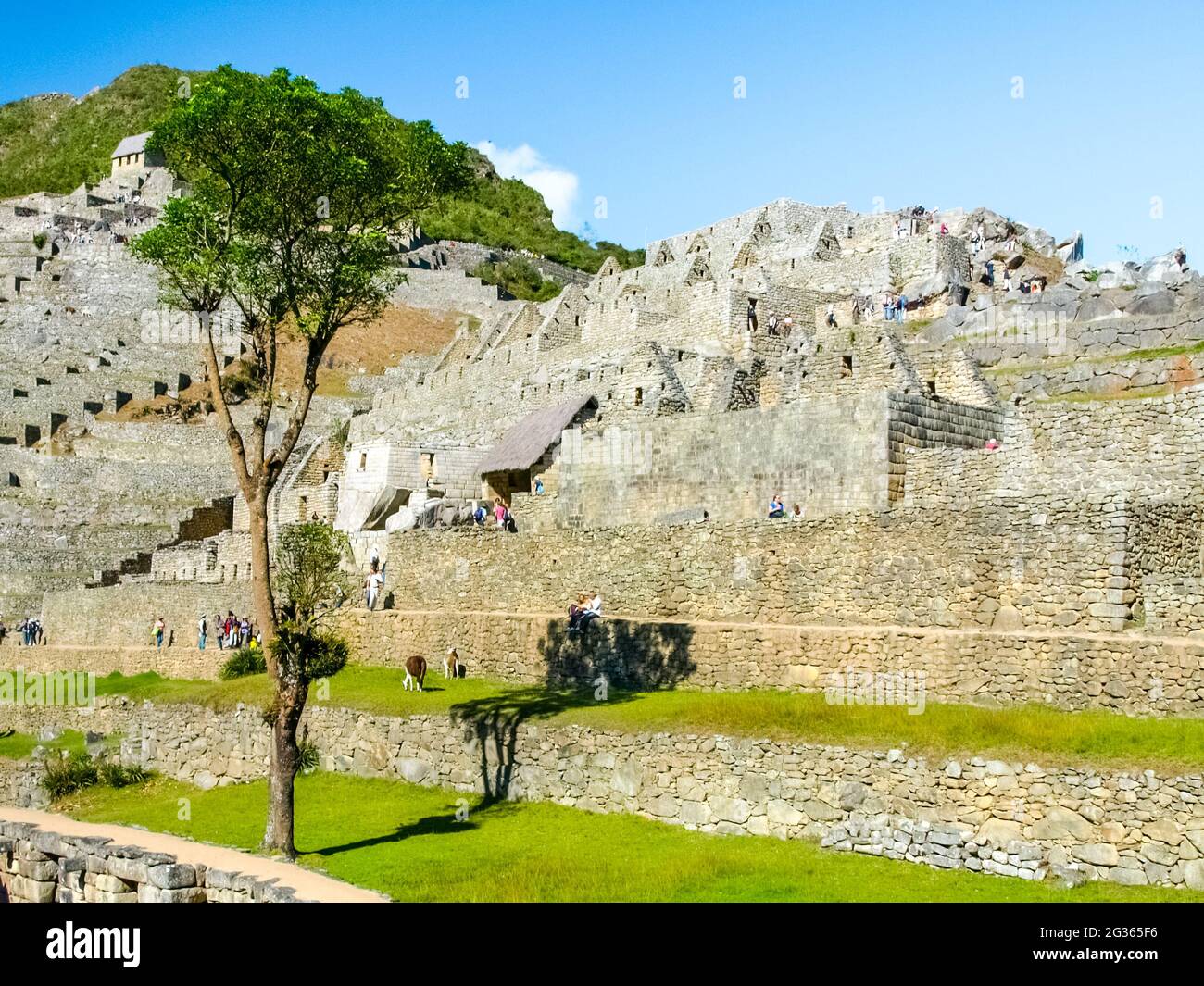 Terraces of Machu Picchu - Incan lost city in Peru, South America Stock ...