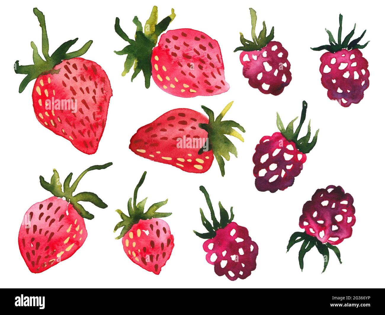 Hand painted watercolor clip art set of strawberries and raspberries ...