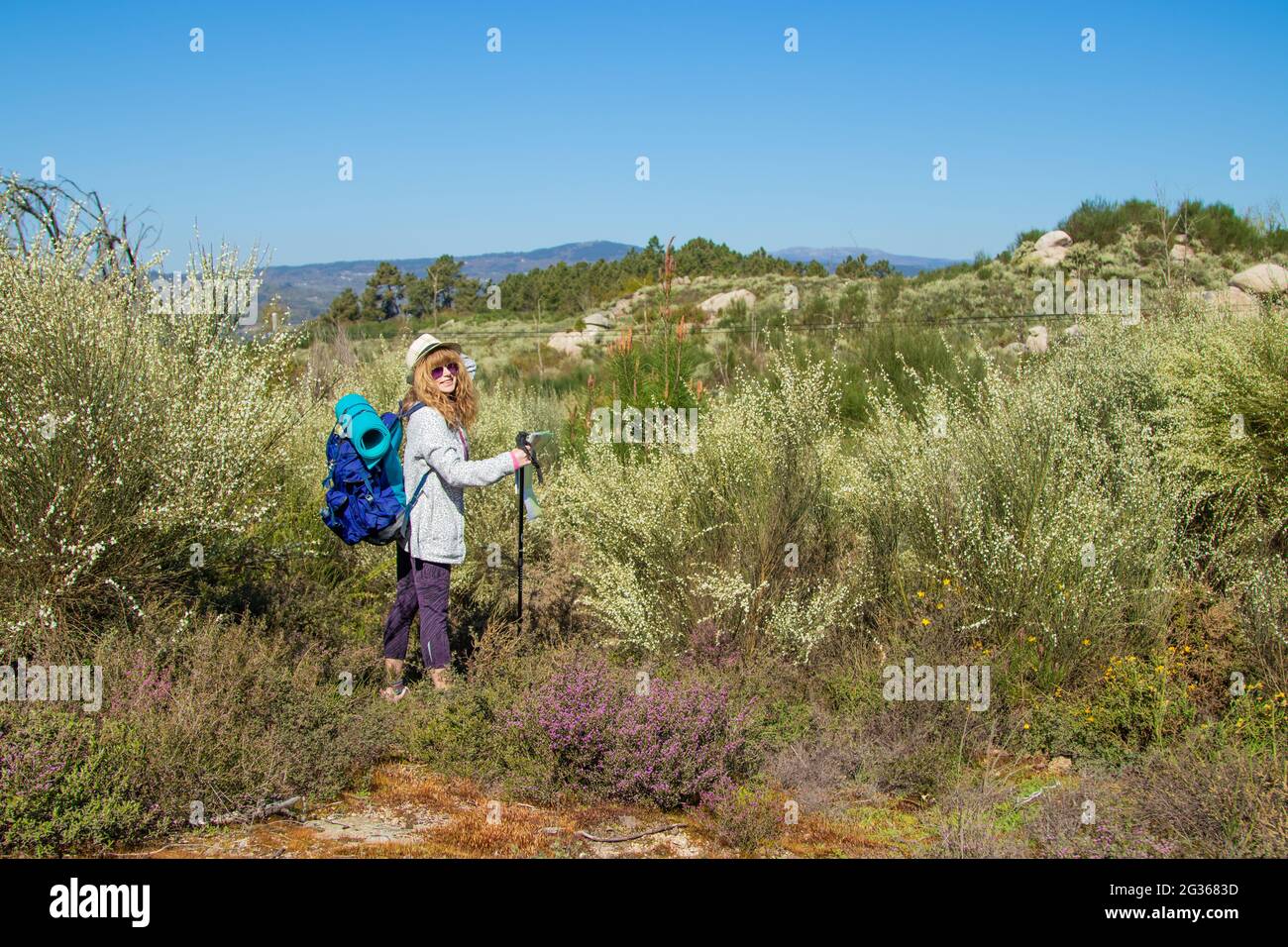 Hiking in the bush hi-res stock photography and images - Alamy