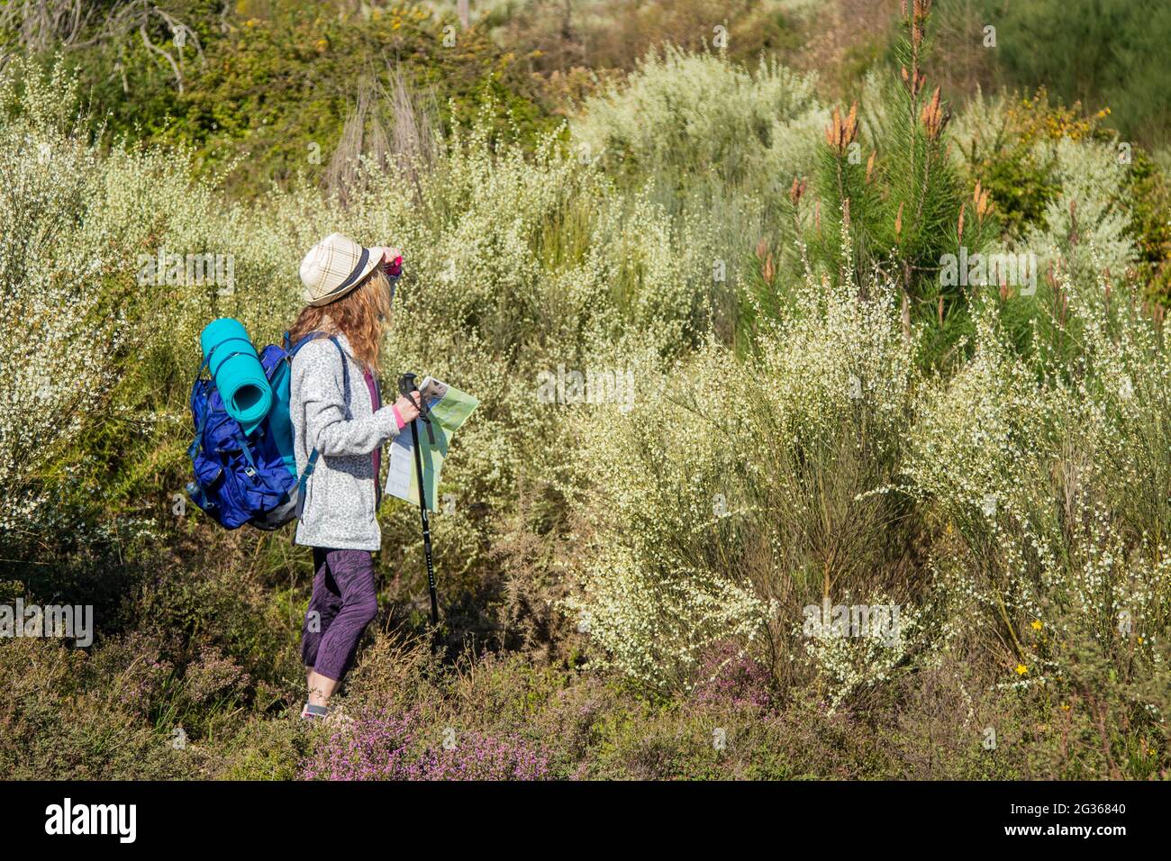 Hiking in the bush hi-res stock photography and images - Alamy