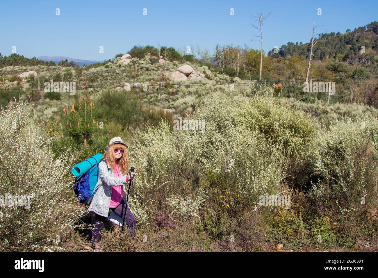 Hiking in the bush hi-res stock photography and images - Alamy