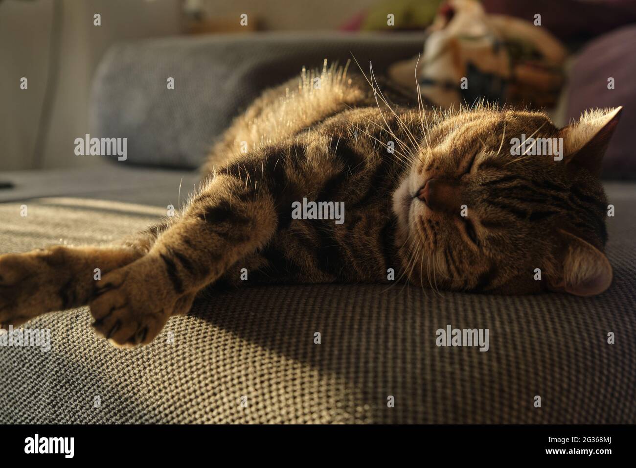 Marble colors hi-res stock photography and images - Alamy