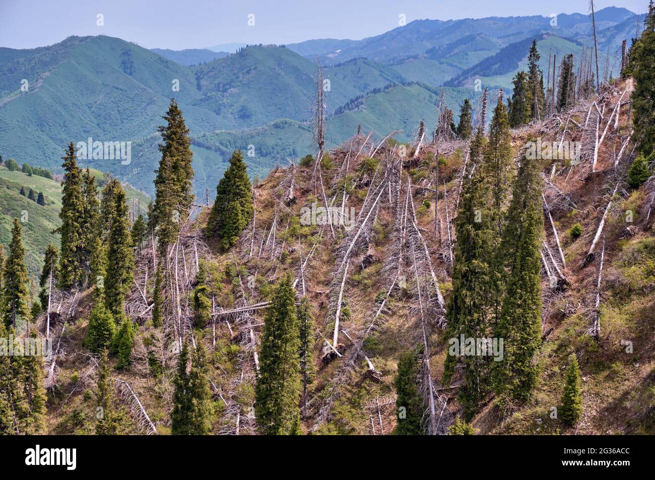 Slope fire hi-res stock photography and images - Alamy