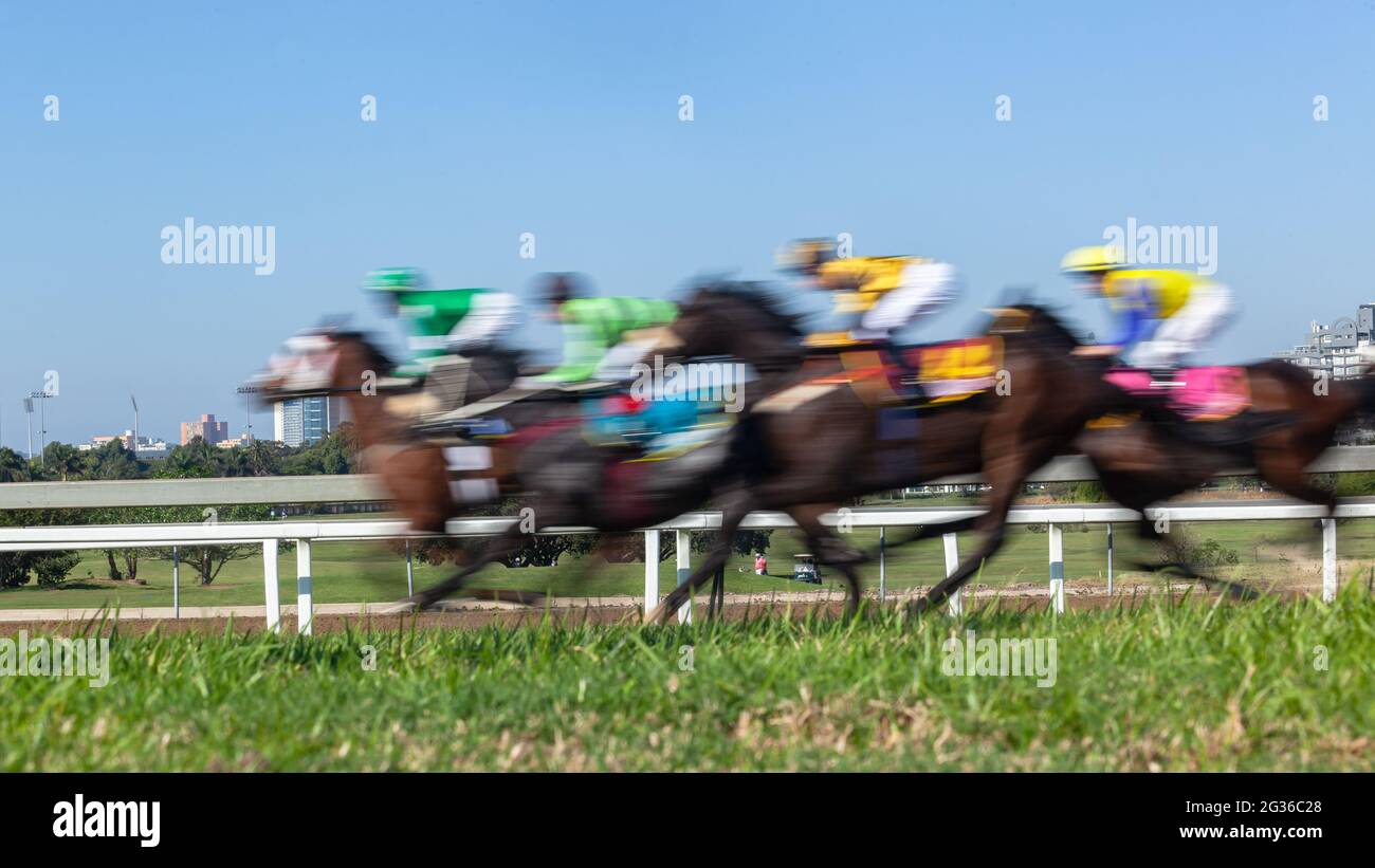 Horse Racing closeup motion speed blur unrecognizable jockeys and ...