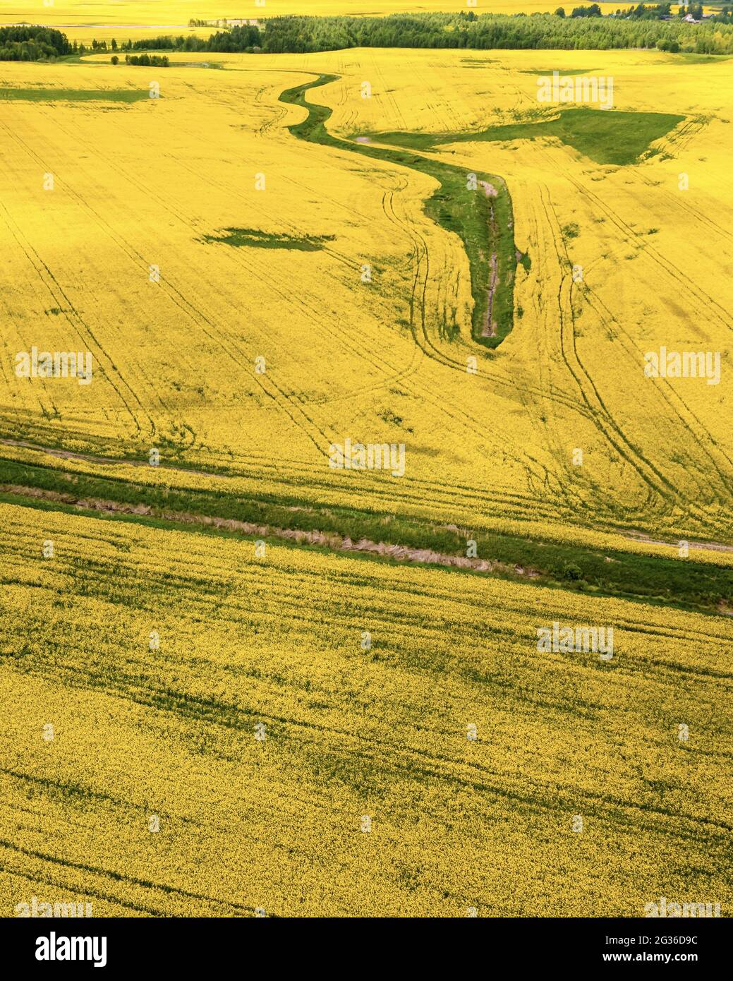 Aerial view of a yellow agricultural field with green parts and tree ...