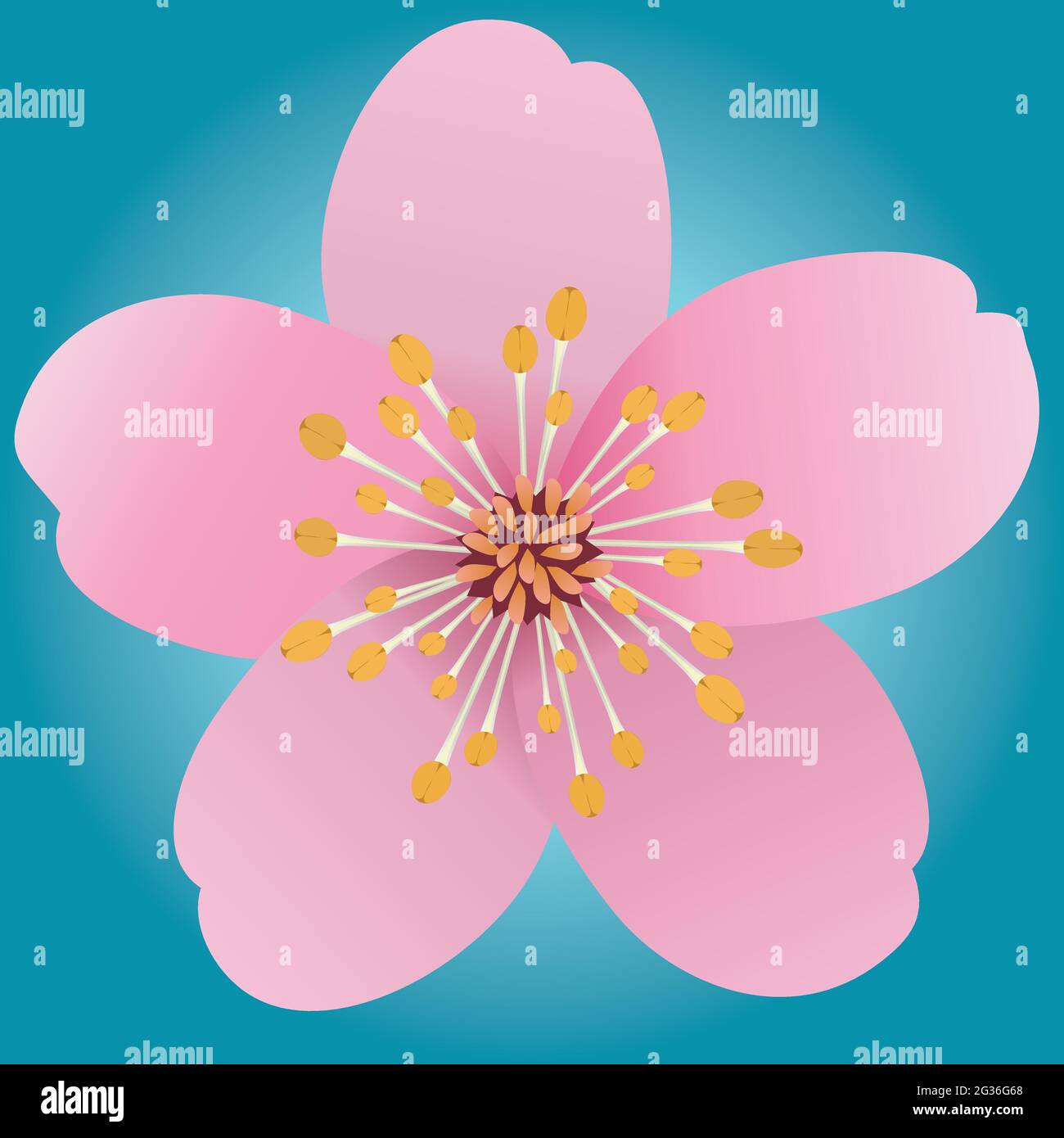 Pink five petals Stock Vector Images - Alamy