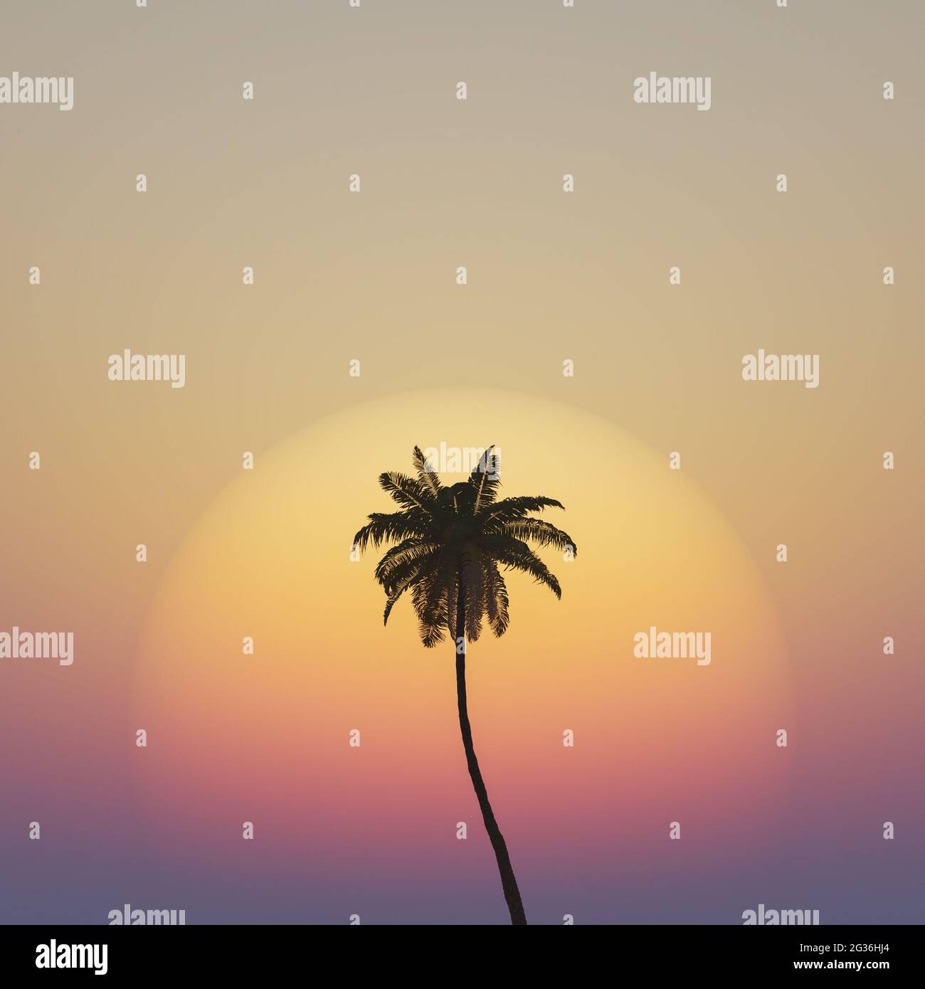 tropical background of isolated palm tree with warm sunset behind. 3d ...
