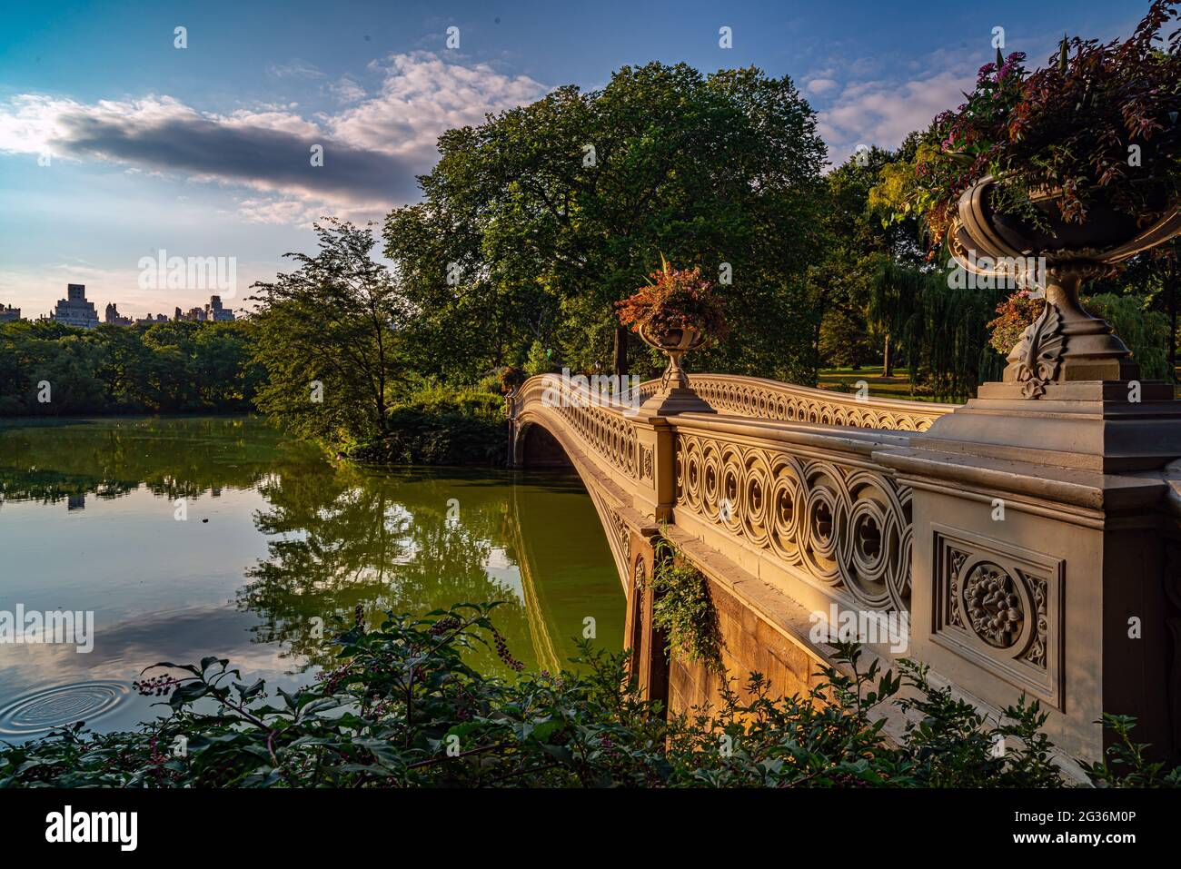 Bow bridge, Central Park, New York City in late spring Stock Photo - Alamy