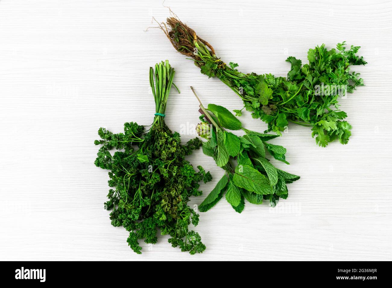 bundles of cilantro, mint and parsley isolated on white textured ...