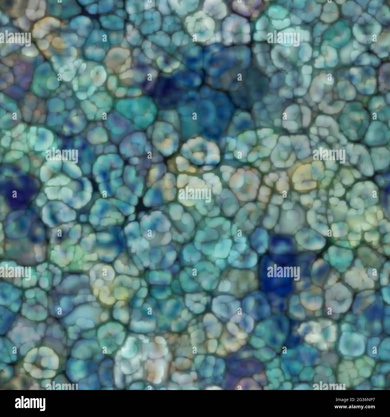 Lichen, Mushroom, Fungus family of different colors as organic seamless ...