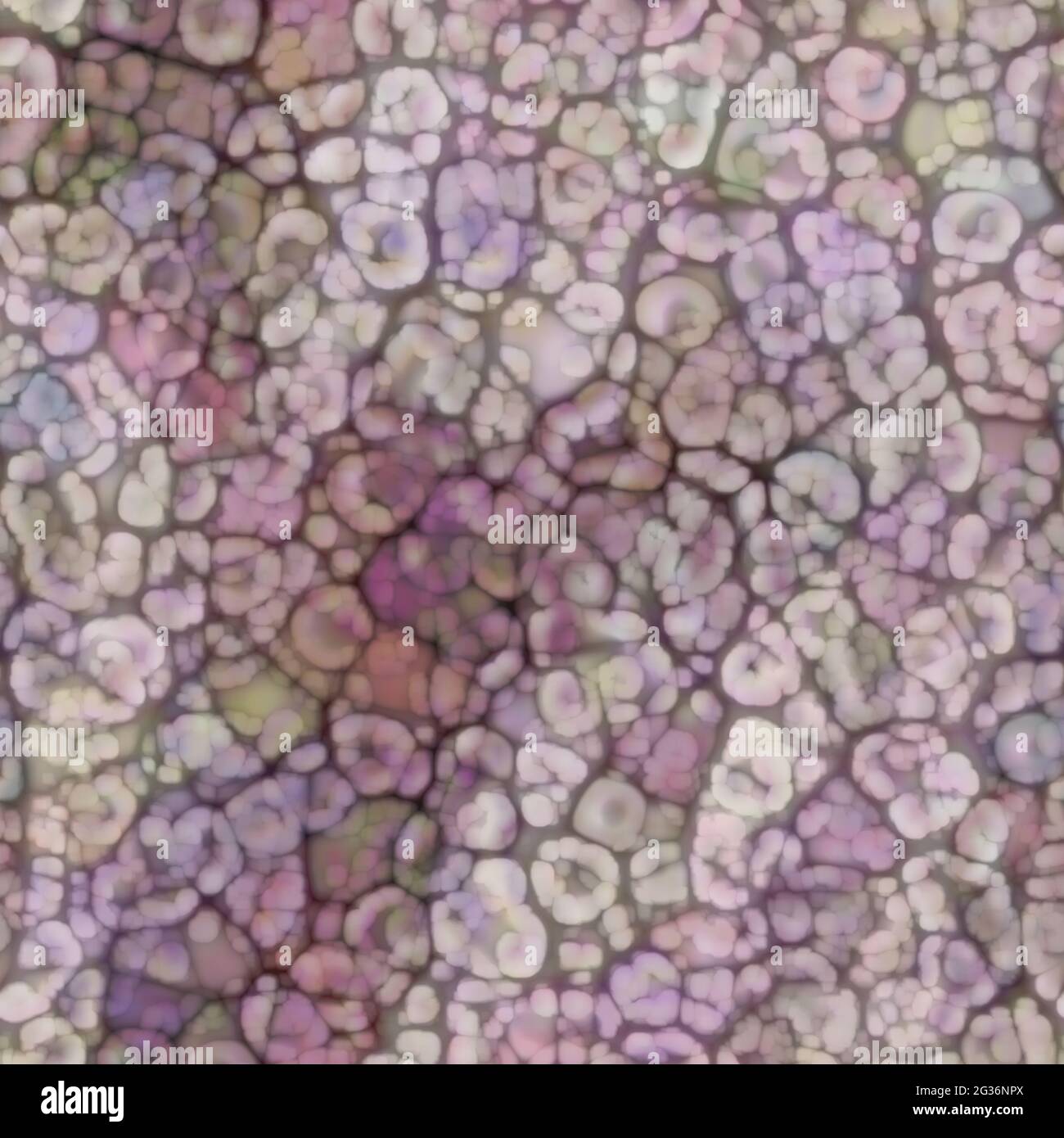 Lichen, Mushroom, Fungus family of different colors as organic seamless ...