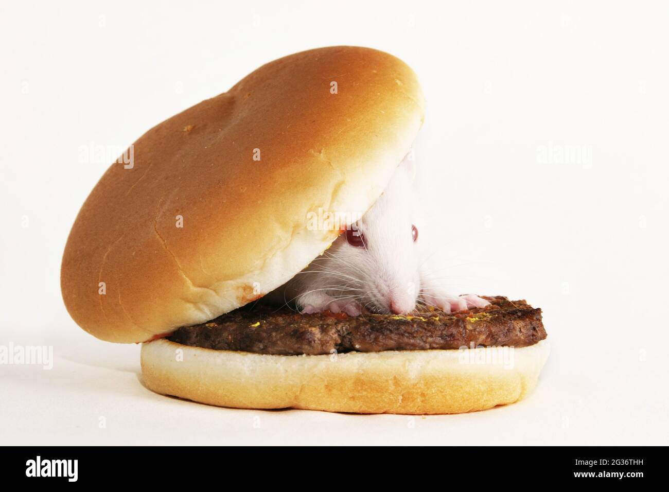 Full burger hi-res stock photography and images - Alamy