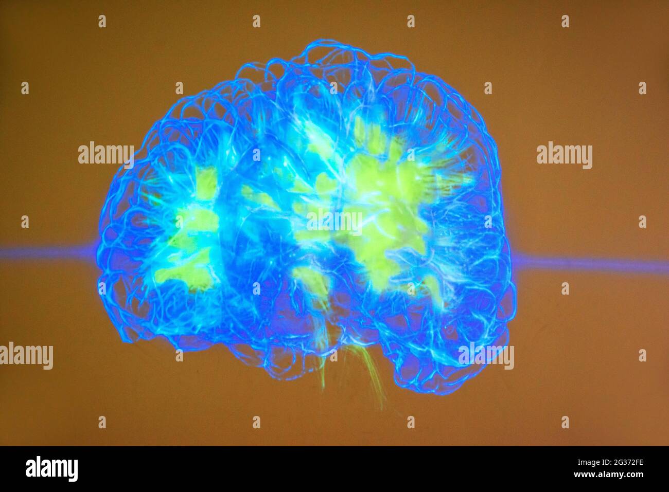 Brain exhibition Inside MIT Museum Building at 265 Massachusetts Avenue ...