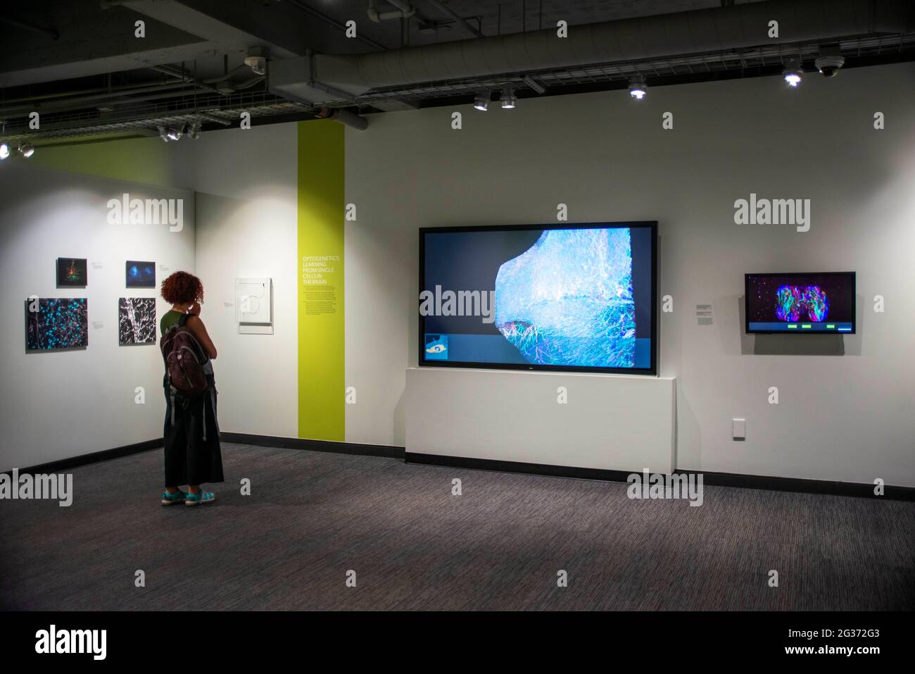 Brain exhibition Inside MIT Museum Building at 265 Massachusetts Avenue ...