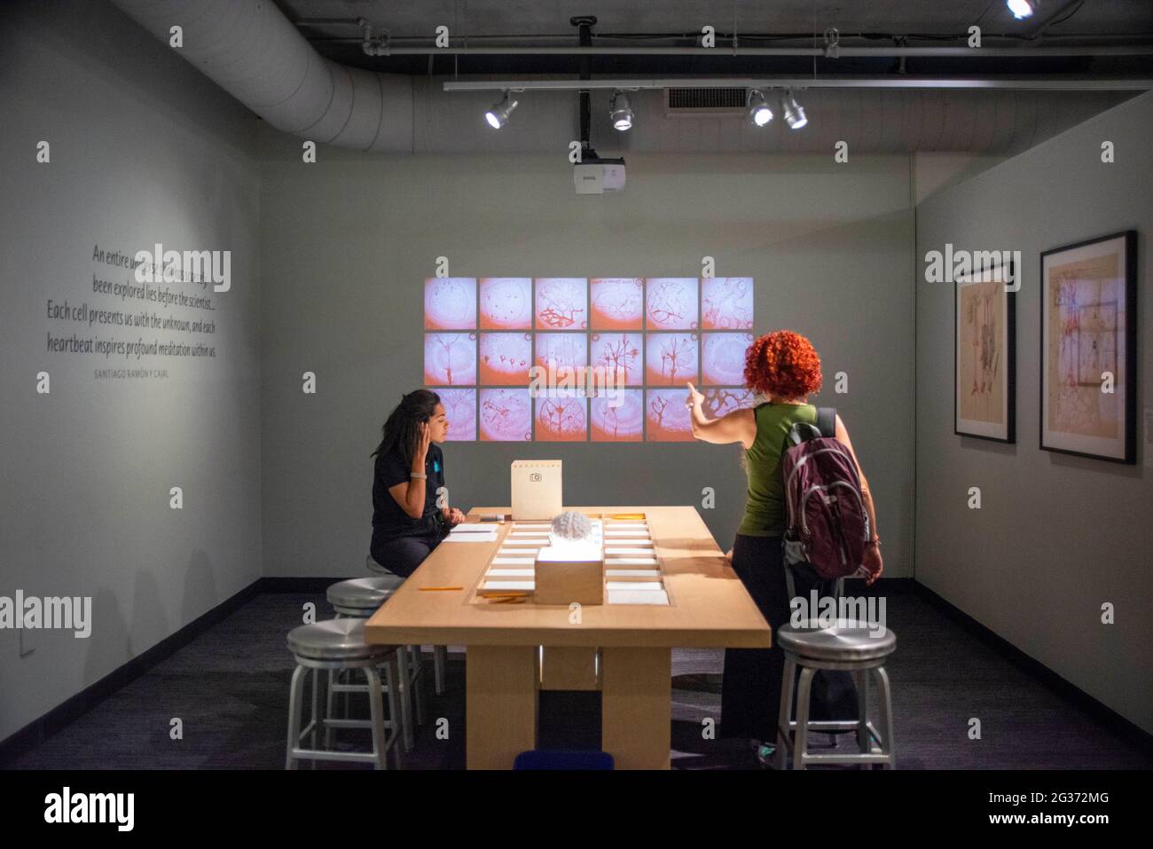 Brain exhibition Inside MIT Museum Building at 265 Massachusetts Avenue ...