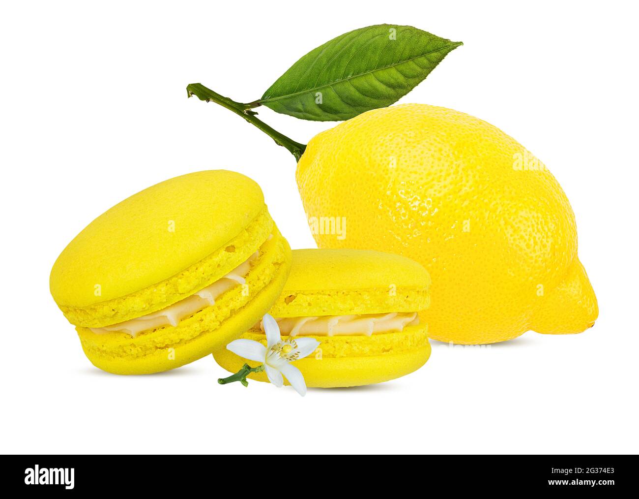 Lemon macaroons isolated on white background Stock Photo - Alamy