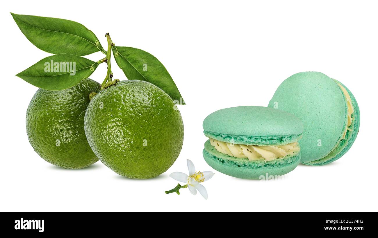 Lime and mint macaroons isolated on white background Stock Photo - Alamy