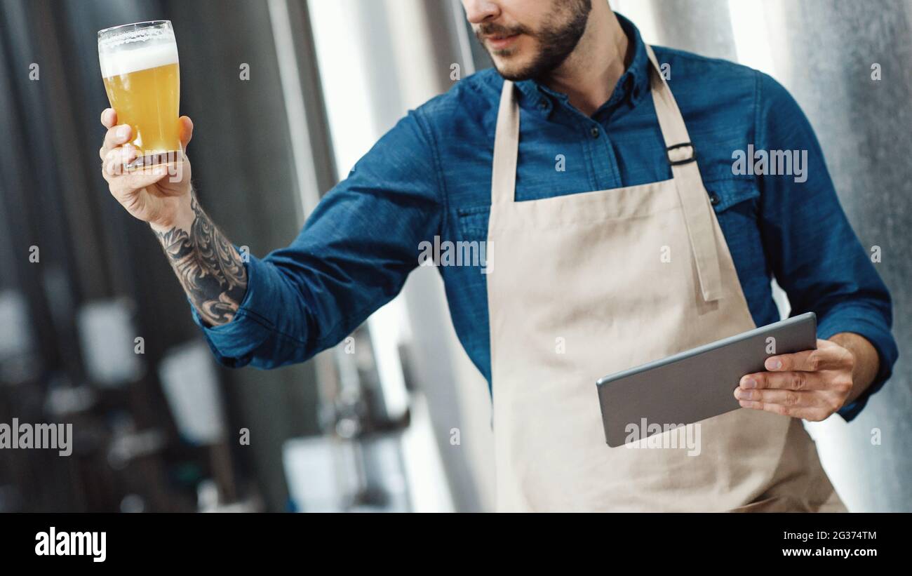 Handsome brewer examines beer from tanks in brewery Stock Photo - Alamy