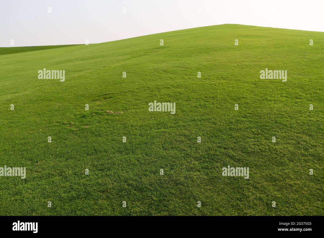Lawn of urban public green space Stock Photo - Alamy