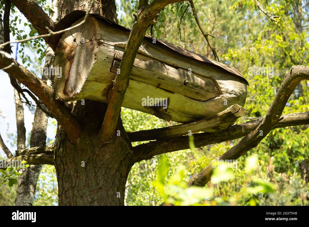 Log beehive hi-res stock photography and images - Alamy