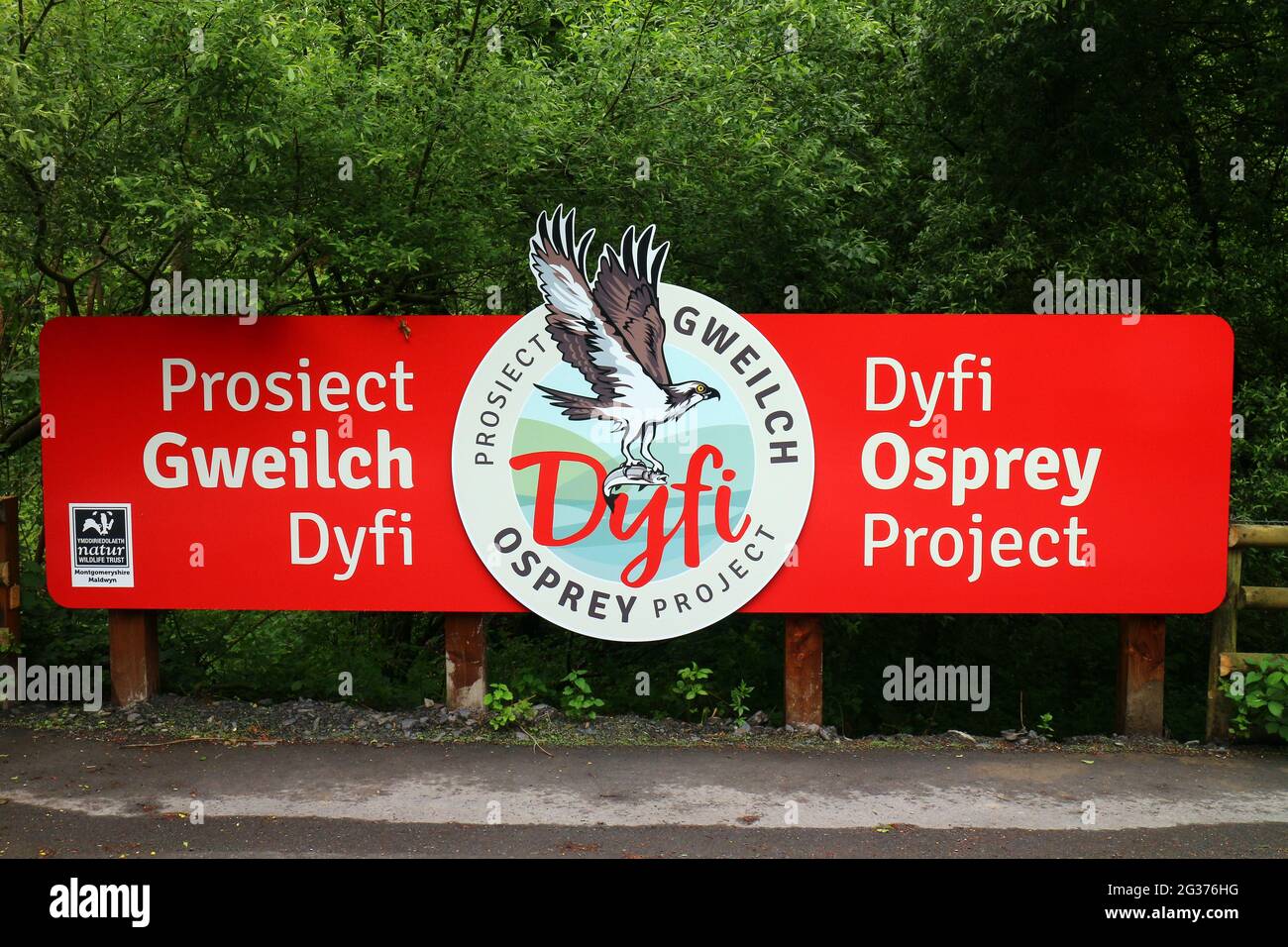 Osprey logo hi-res stock photography and images - Alamy
