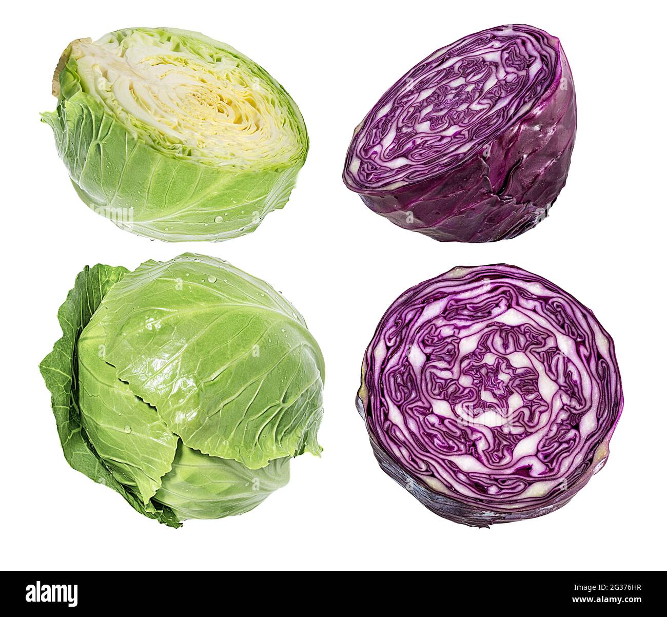 Cabbage collection isolated on white background Stock Photo - Alamy