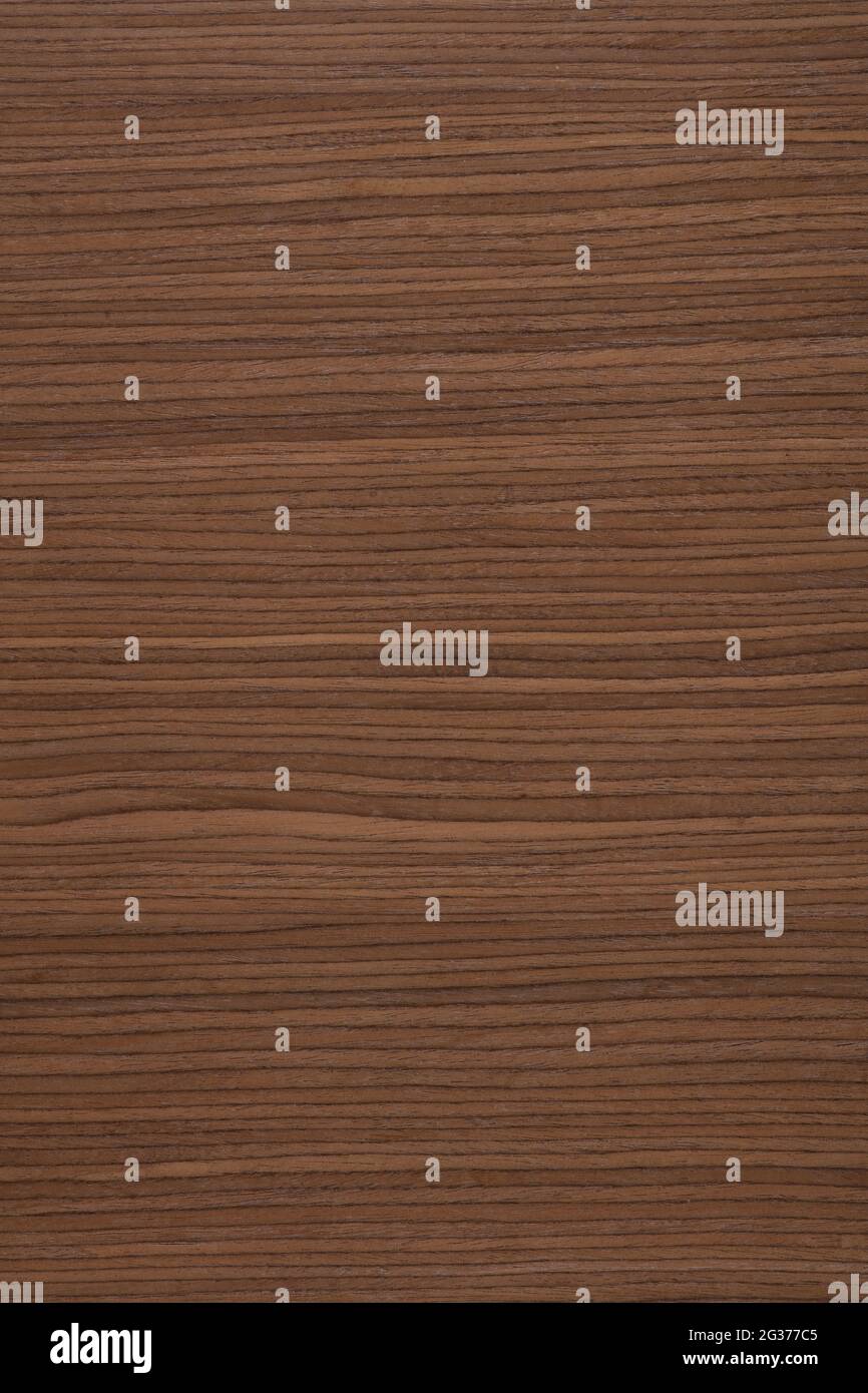 Walnut veneer texture hi-res stock photography and images - Alamy