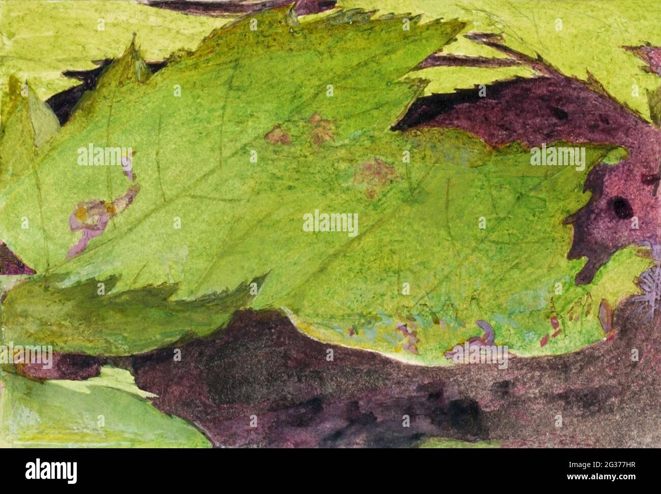 Coloration painting hi-res stock photography and images - Alamy