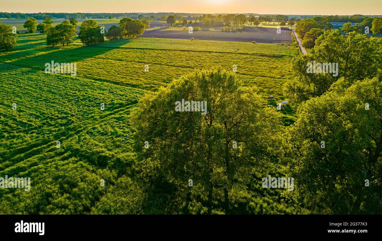 Aerial view of countryside and agricultural field in spring evening ...