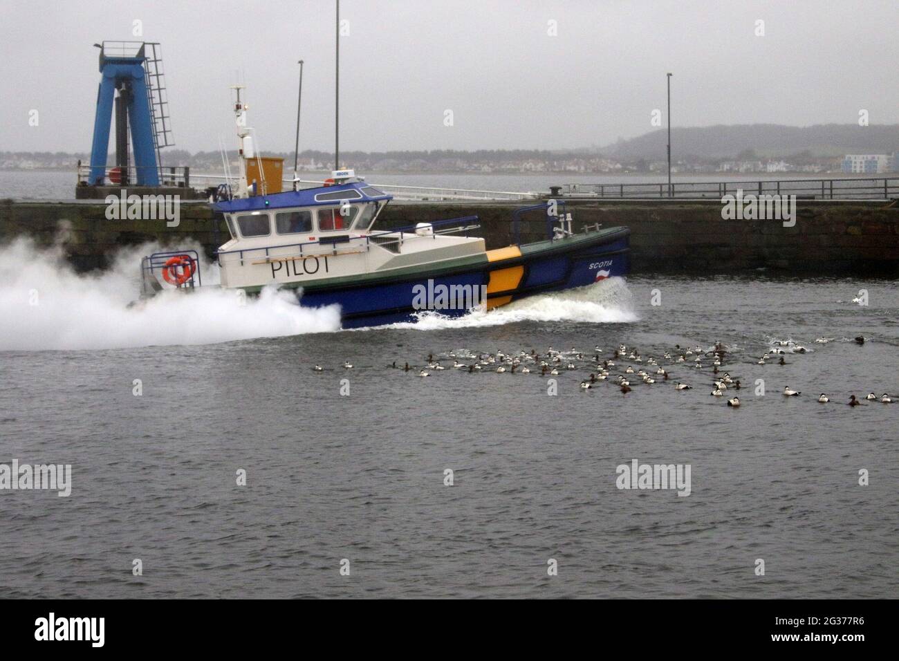Associated British Ports, Port of Troon, New Pilot boat Scotia ...