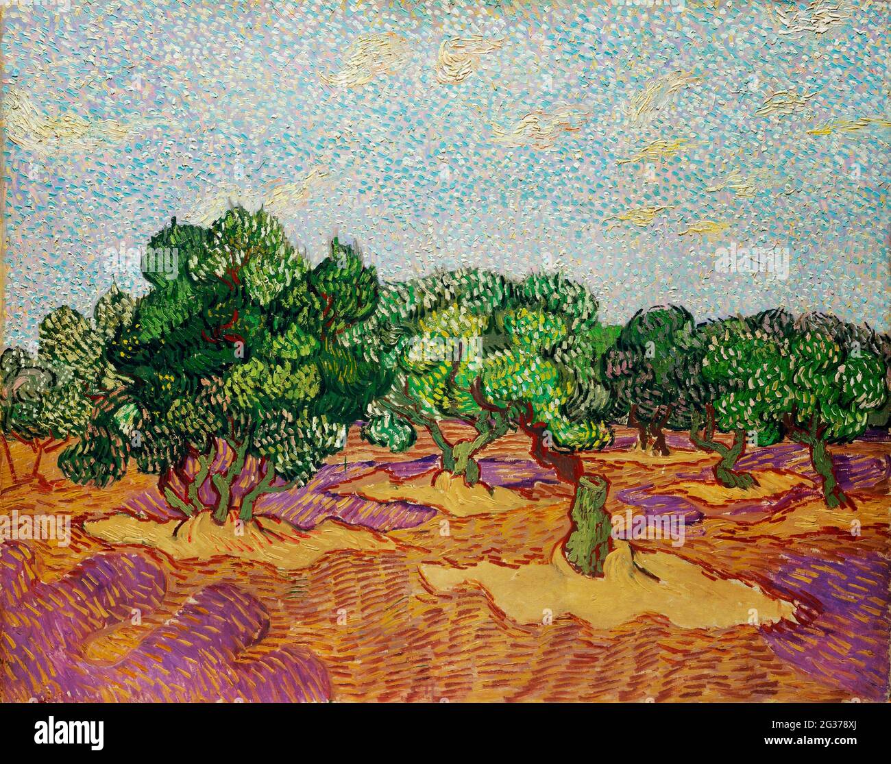 Olive Trees (1889) by Vincent Van Gogh Stock Photo - Alamy