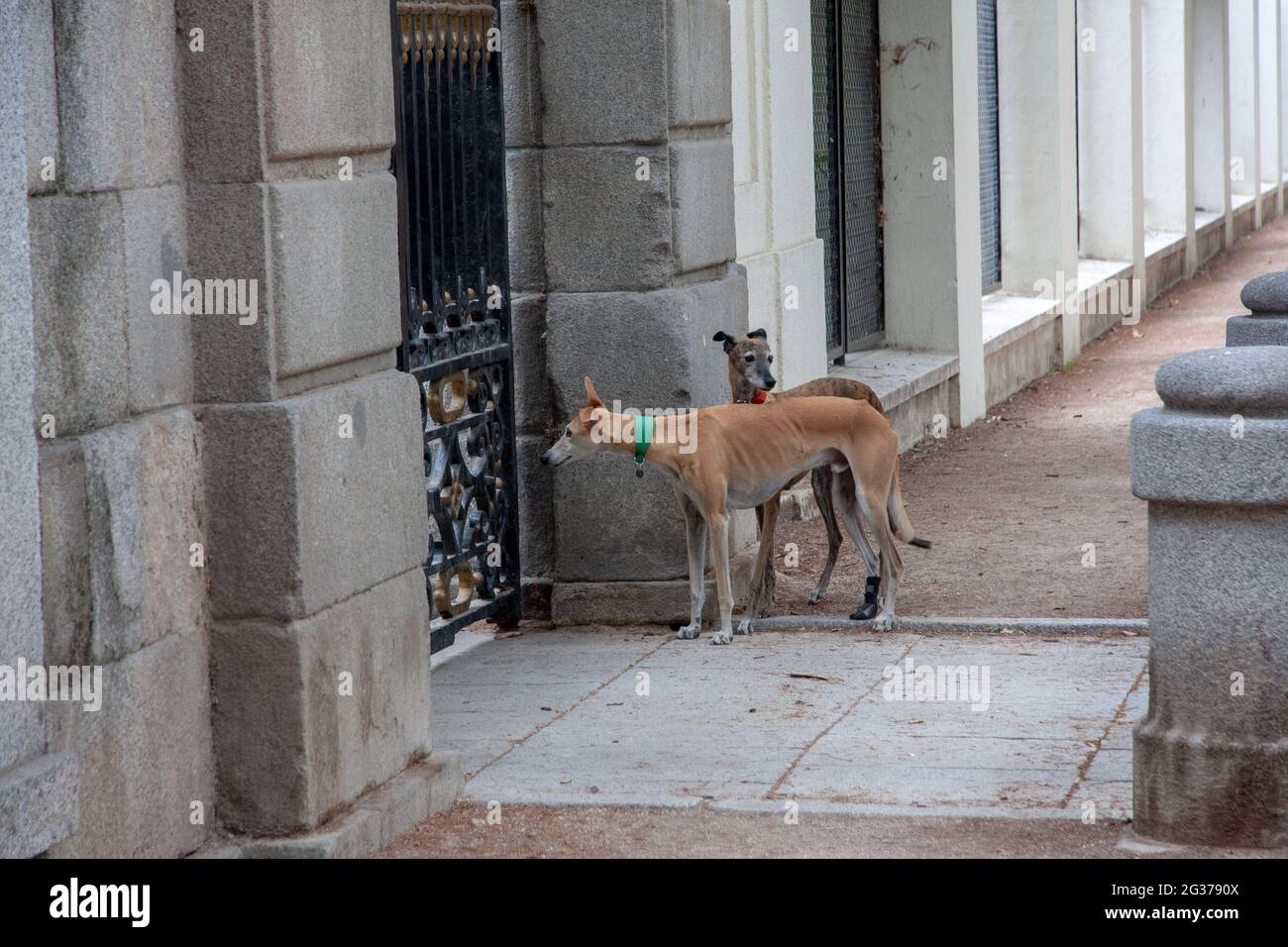 Watching through door hi-res stock photography and images - Alamy