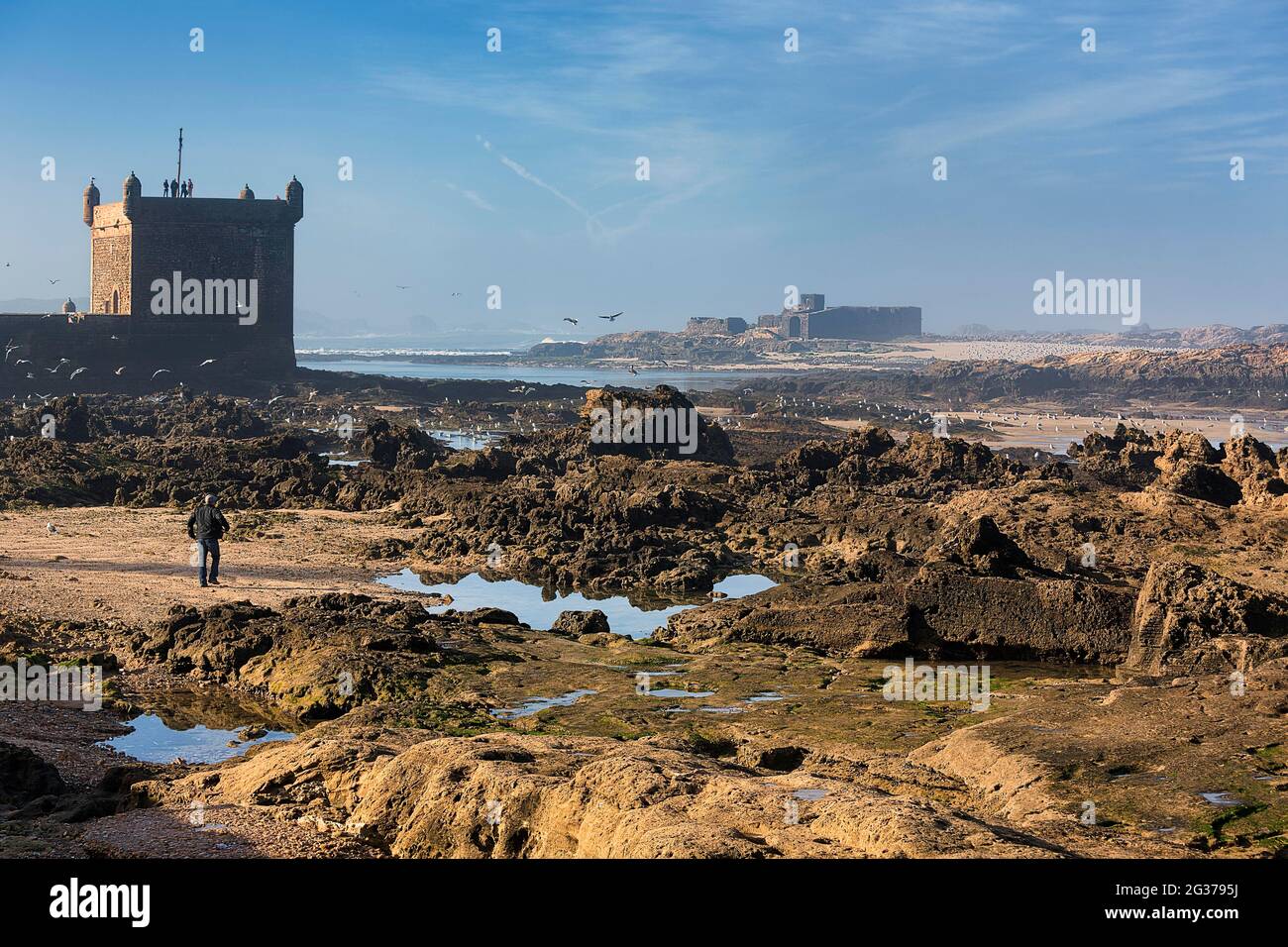Rocky coast with view of Mogador Island at low tide, Atlantic coast ...